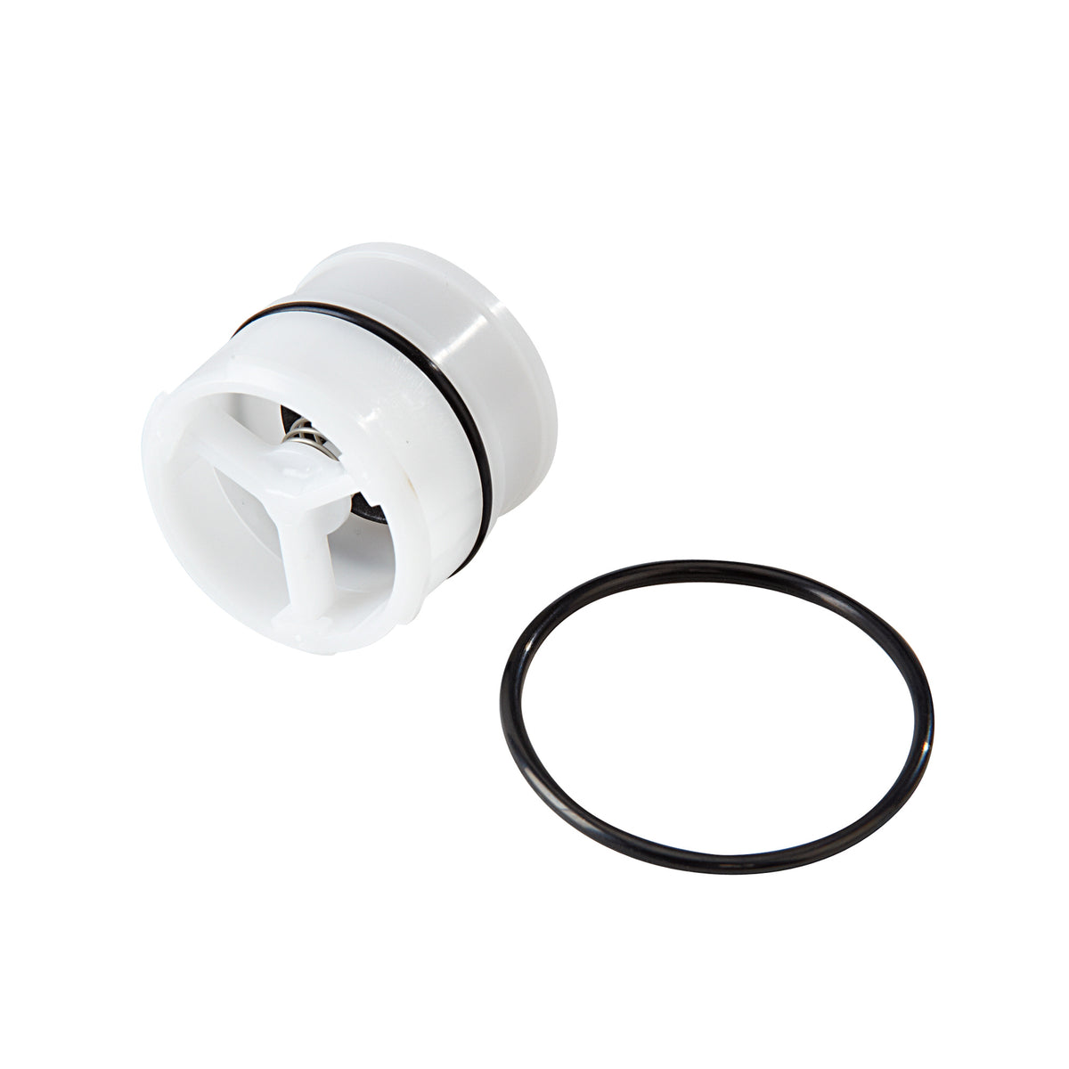 0888550 (Watts) | RK 007 M3 CK1 3/4 | 1st Check Repair Kit